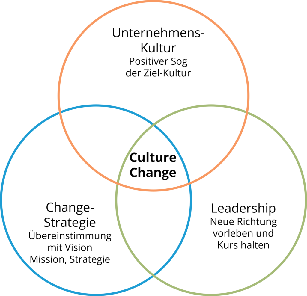 Culture Change - Kultur analysieren und gestalten